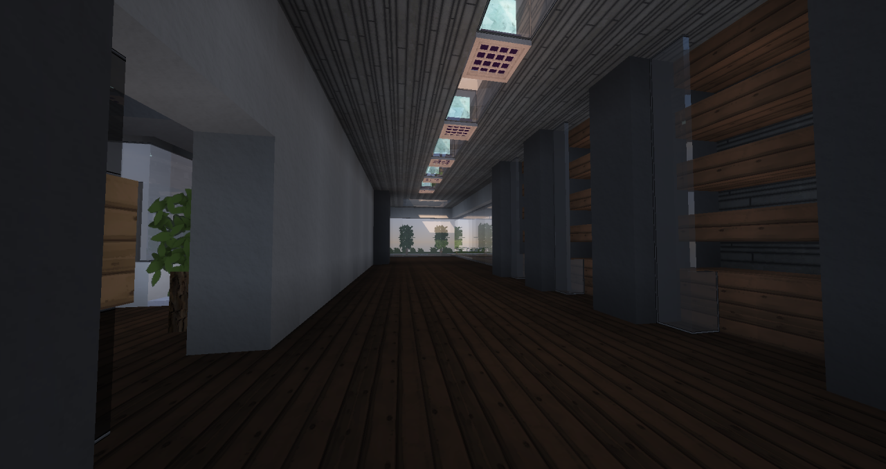 Transition | Modern House Minecraft Map