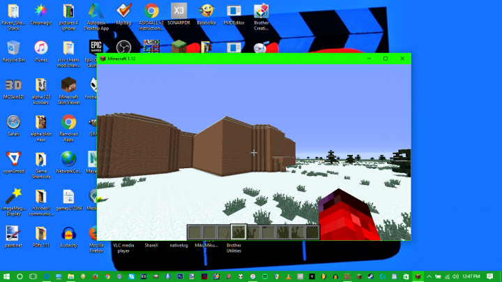 Raven_Shadow's Shack Minecraft Map