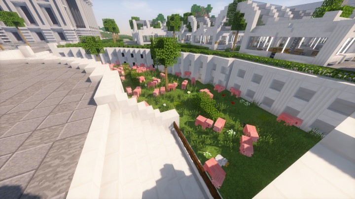 Expedite Network - Towny Spawn Minecraft Map