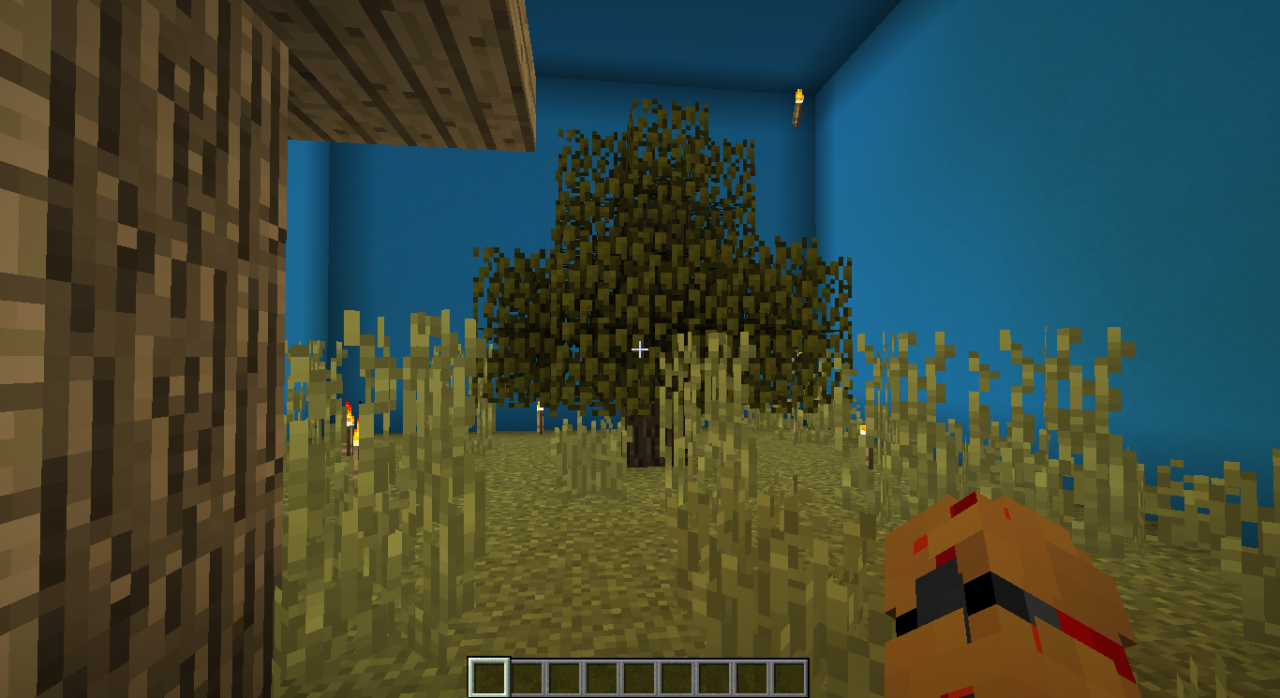 Troll Map Minecraft Map