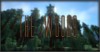 The WOODS Minecraft Map