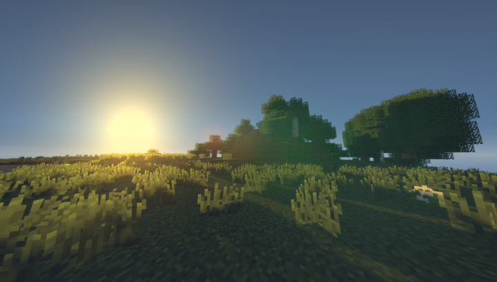 Landscape Gallery Minecraft Map