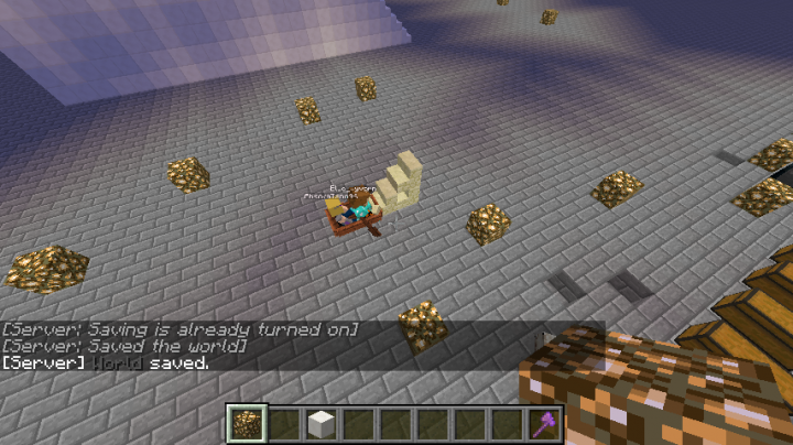 Rule of Two Minecraft Server