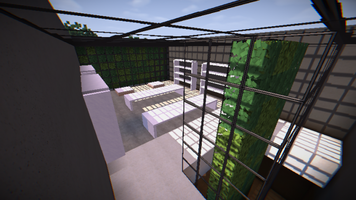 Row shop Minecraft Map