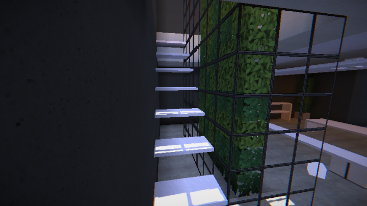 Row shop Minecraft Map