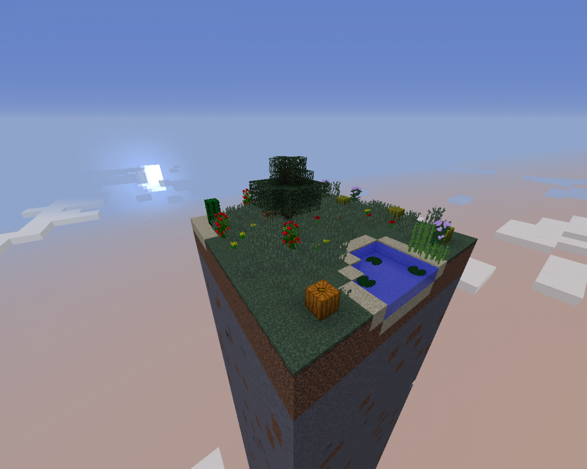 Chunk survival Minecraft Map