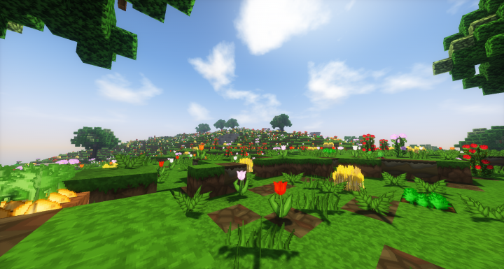 Transcendental - Custom Landscape Minecraft Map