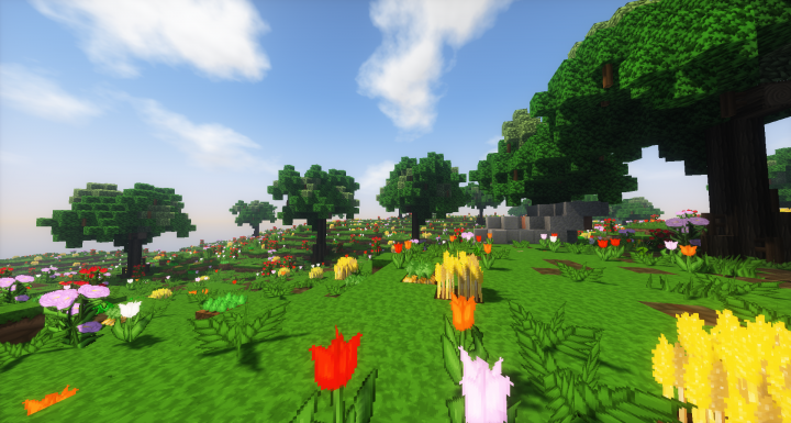 Transcendental - Custom Landscape Minecraft Map