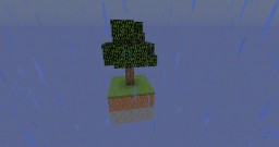 Skyblock CTM Minecraft Map
