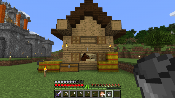 Stable Minecraft Map