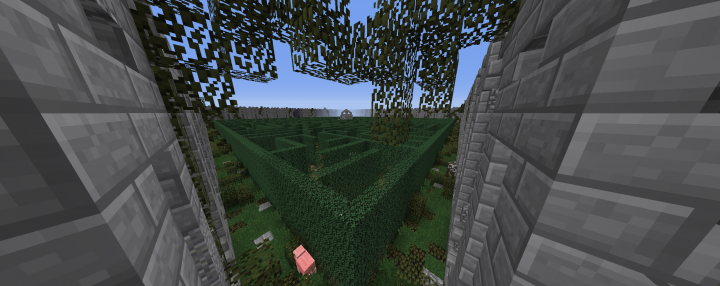 110x110 Detailed Hedge Maze Minecraft Map