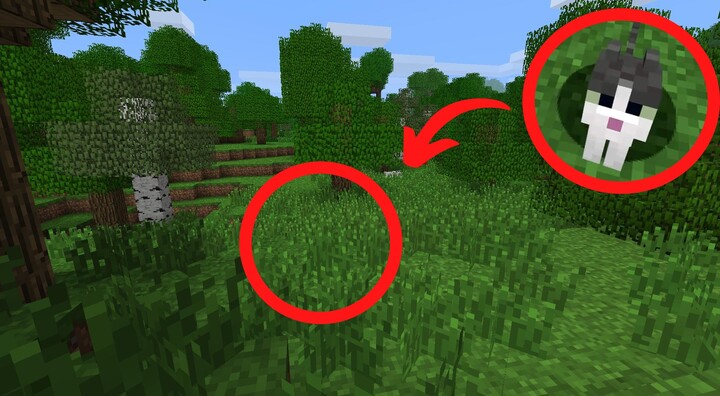 No More Cats Minecraft Texture Pack