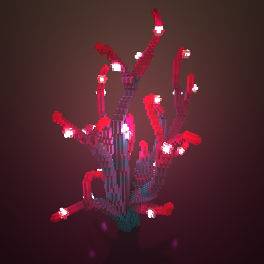 4 corals ! Minecraft Map