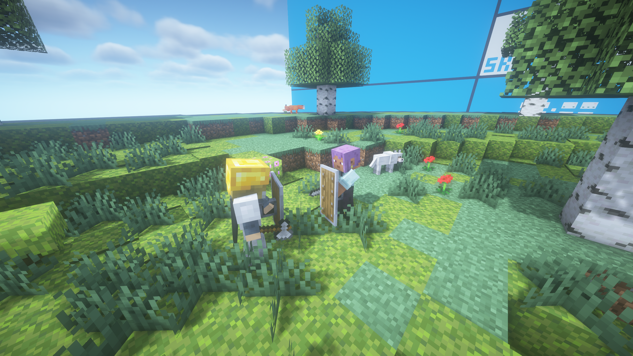 2DMC v2.1 Minecraft Map