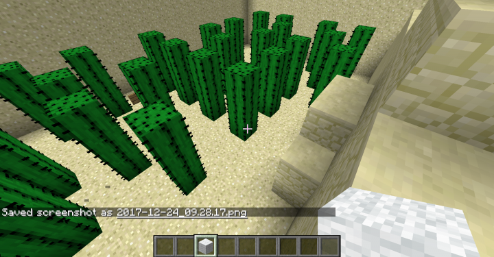 Find the Button! Minecraft Map