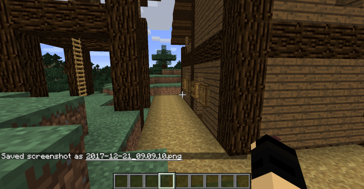 Spruce Village Transformation Minecraft Map