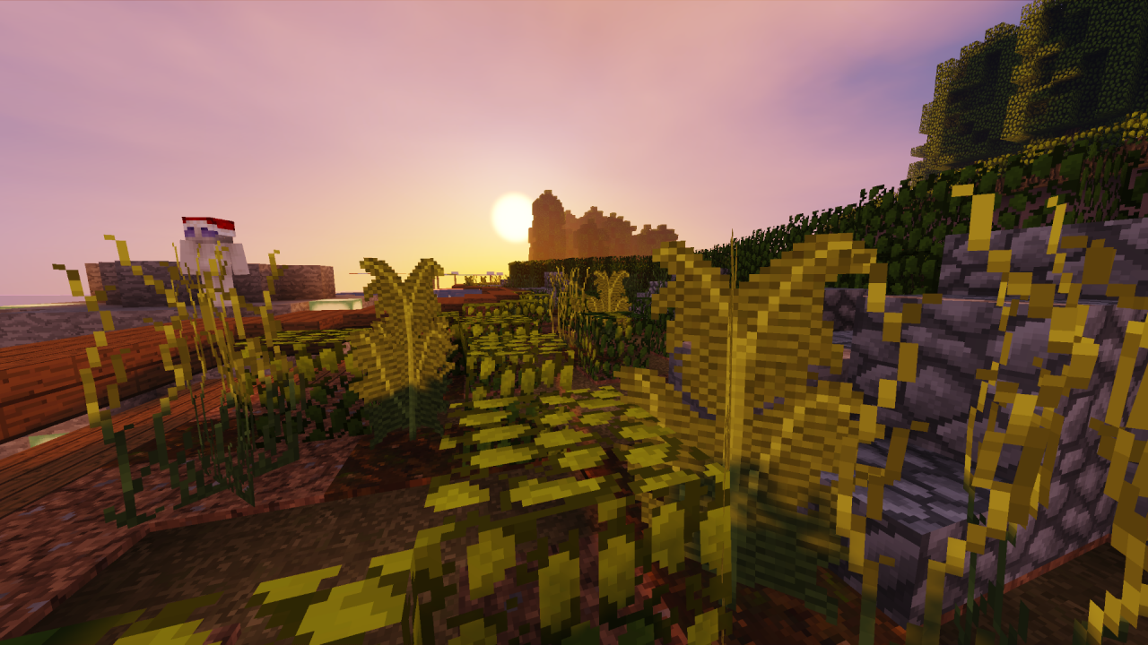 The Conservatory -=- Custom Server Spawn Minecraft Map