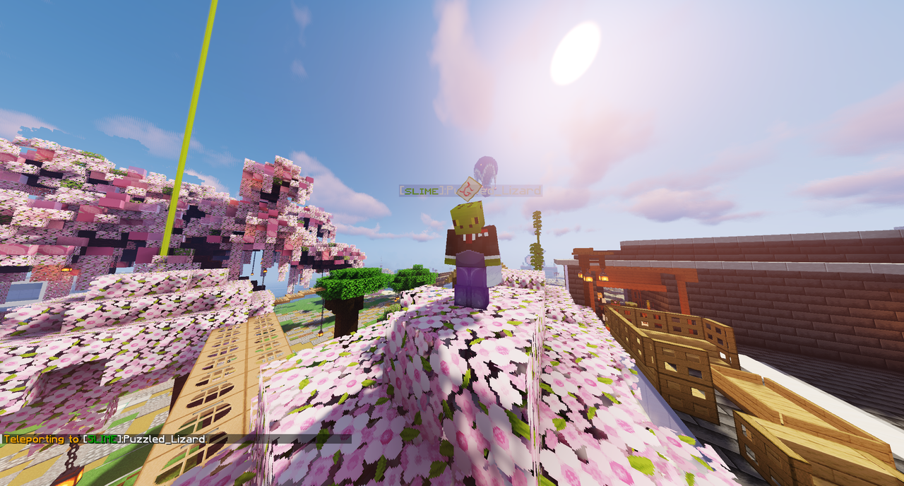 ᴜɴᴛʟᴅ ꜱᴍᴘ - MAP Minecraft Map