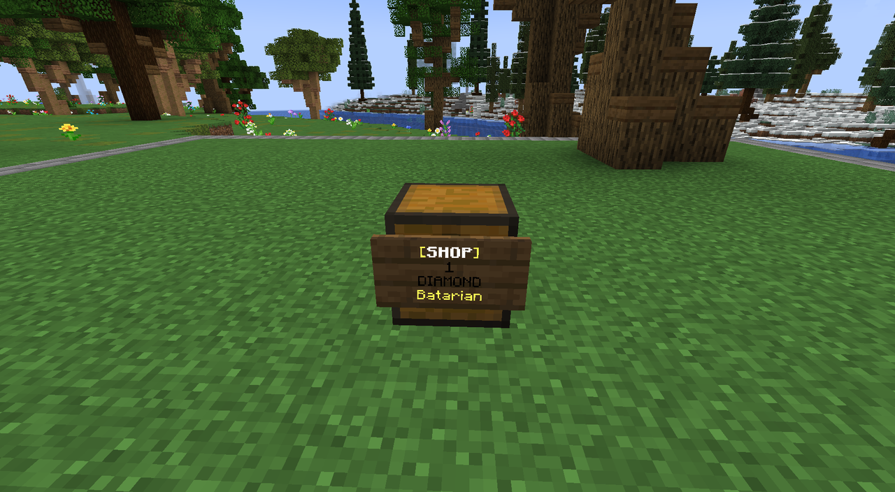 BorealisMC Custom SMP! Minecraft Server