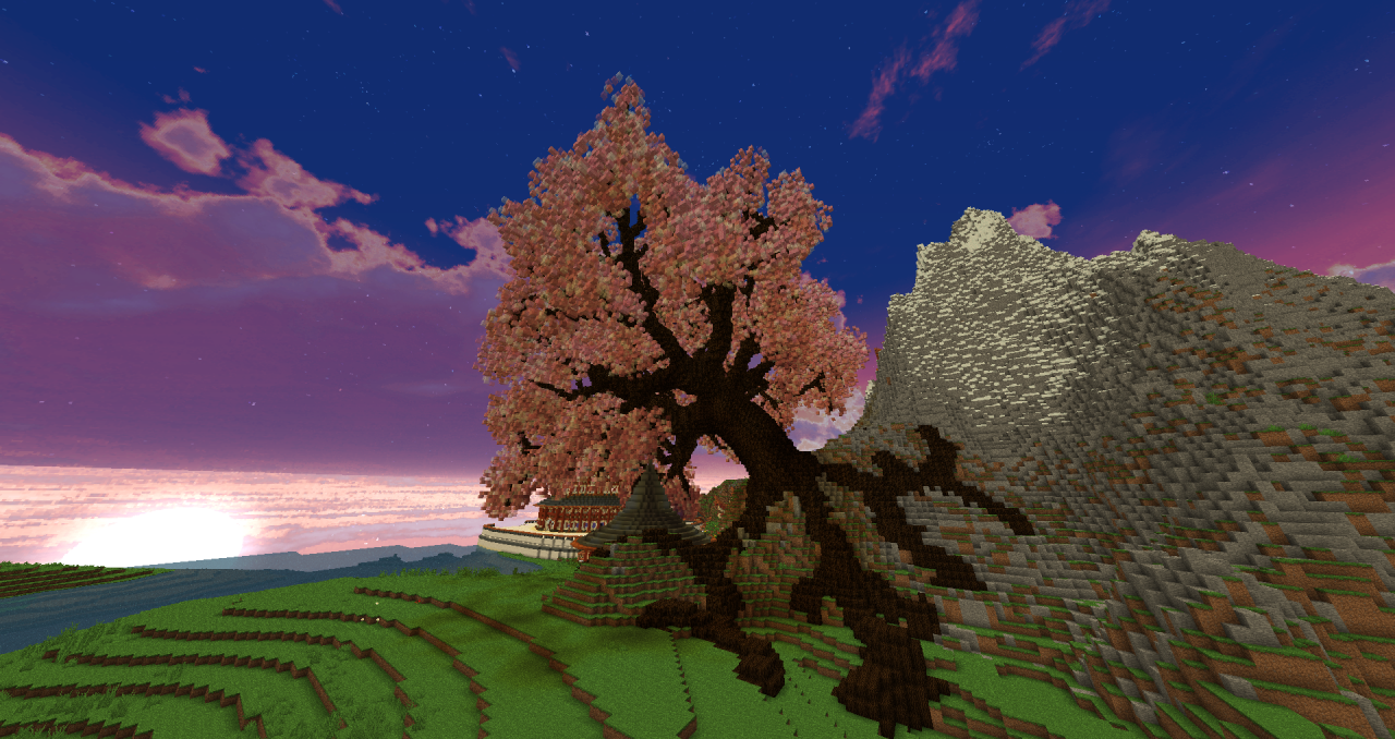 Lonely sakura Minecraft Map