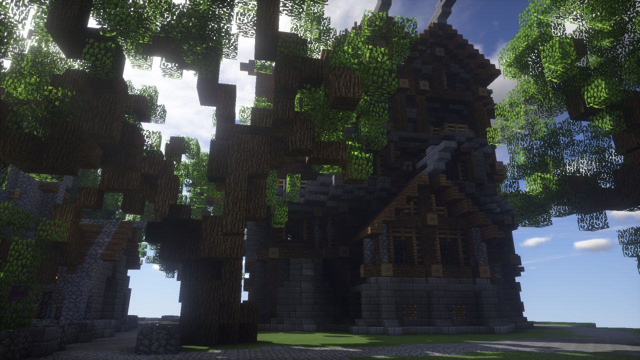 Averus a Medival City first steps Minecraft Map