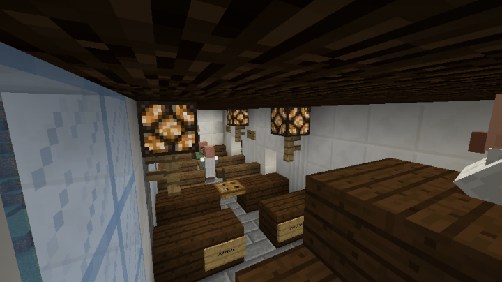 The City Minecraft Map