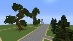Baum Map Minecraft Map