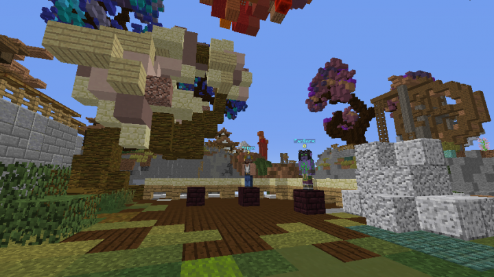 MinePark Server Minecraft Server