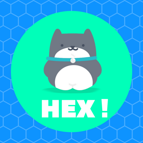 Hex Network Minecraft Server