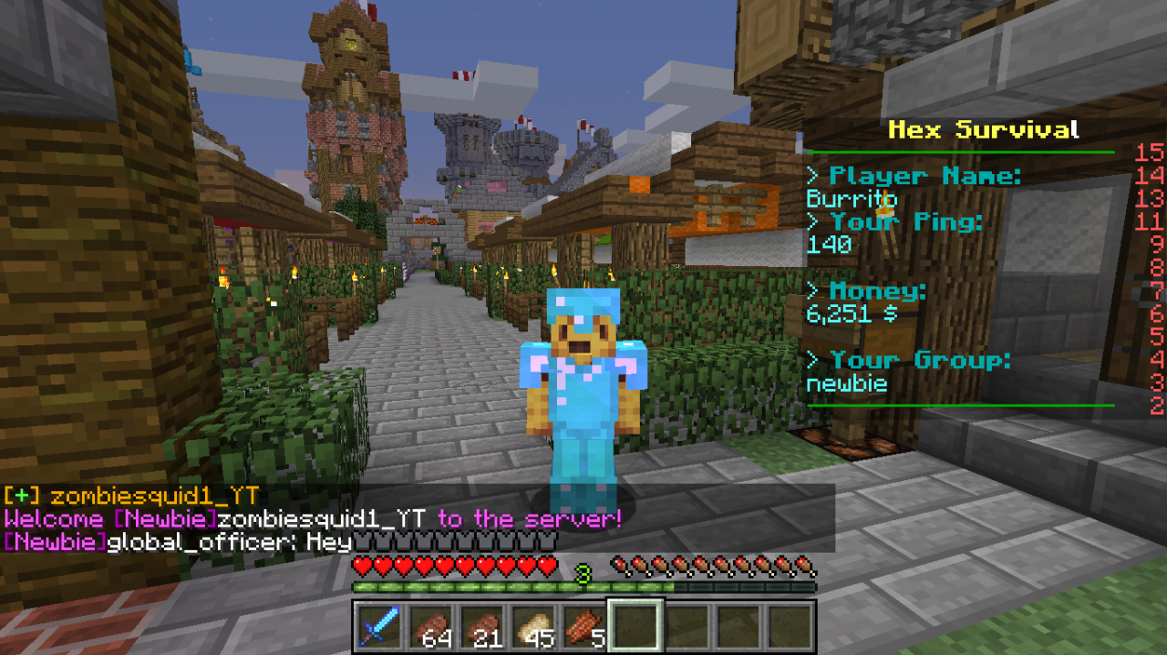 Hex Network Minecraft Server