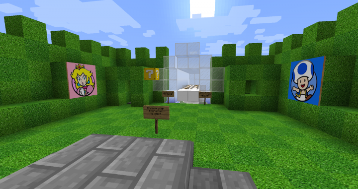 Super Mario 3D World Remake (NOT FINISHED) Minecraft Map