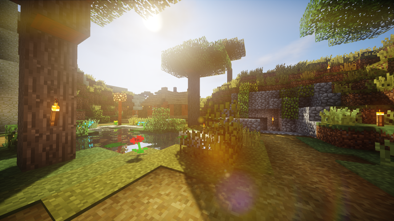 Our town on the vanilla evolved server Minecraft Map