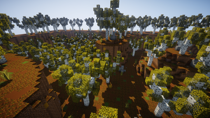 Birch Forest Minecraft Map
