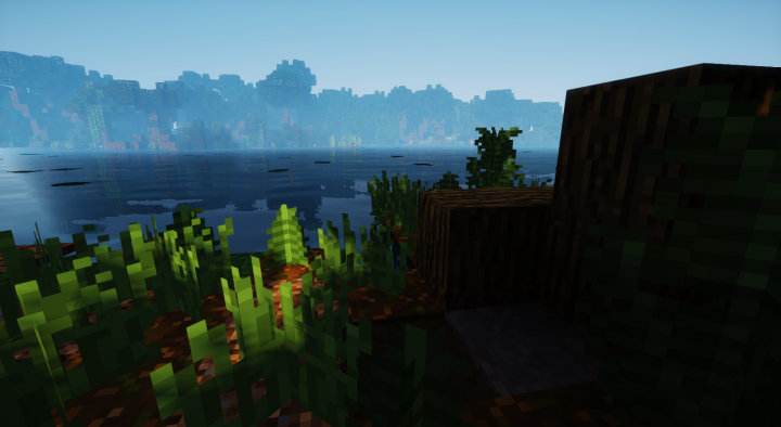 Realistic Bog/Marsh/Swamp Map Minecraft Map