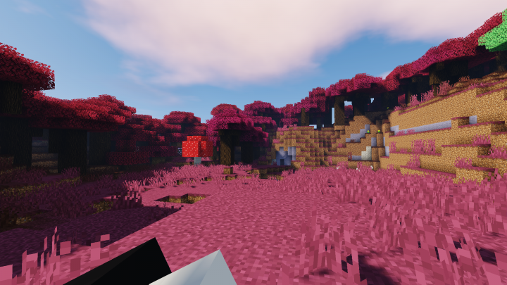 A New World Minecraft Texture Pack