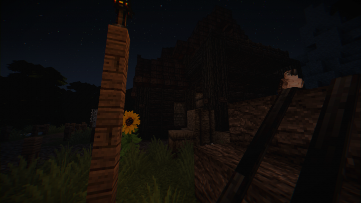 Cozy Mountain/Forest home Minecraft Map