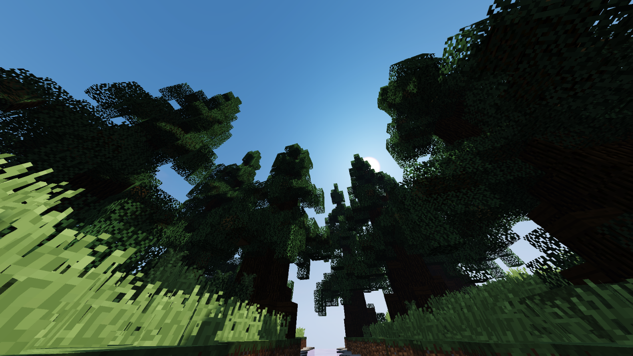 Realistic Scenery 1: Spruce Forest Minecraft Map
