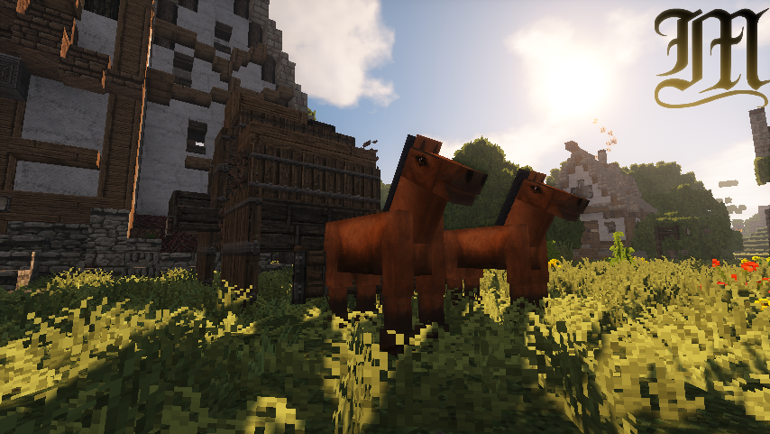 Mirrasil - Fantasy Roleplay Minecraft Server