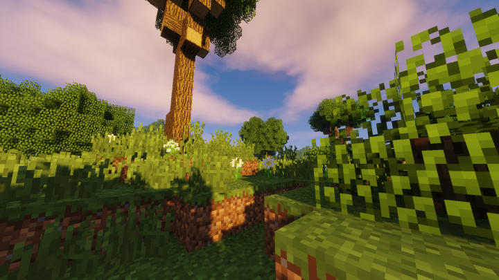 survival spawn Minecraft Map