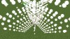 Star particle Minecraft Map