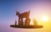 Deer Organic Minecraft Map