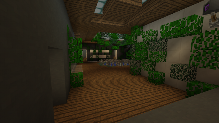 Room Designs Minecraft Map