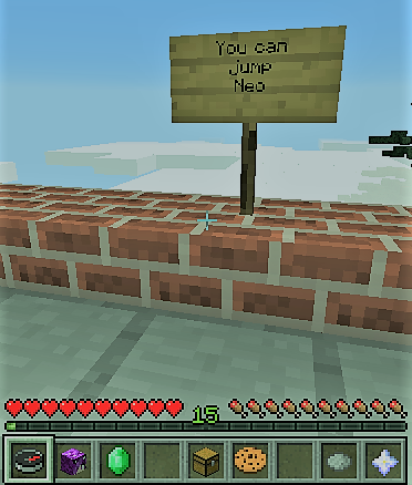 Hoi Neo Minecraft Map