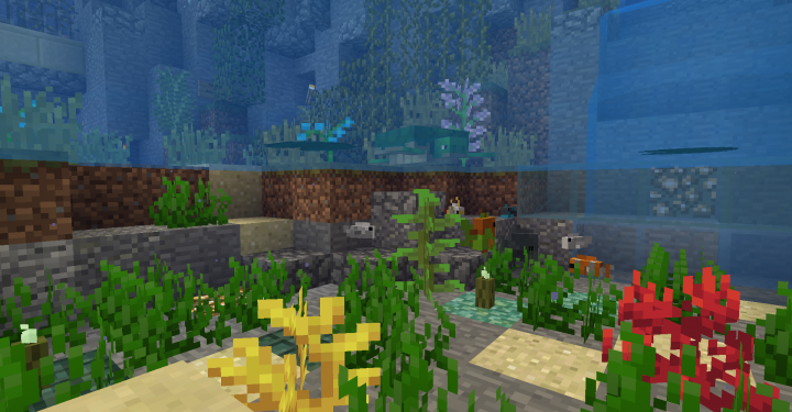 1.13 Tropical fish cave Minecraft Map