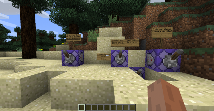 The Weirdest World! Minecraft Map