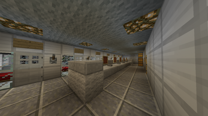 The psychiatric hospital Minecraft Map