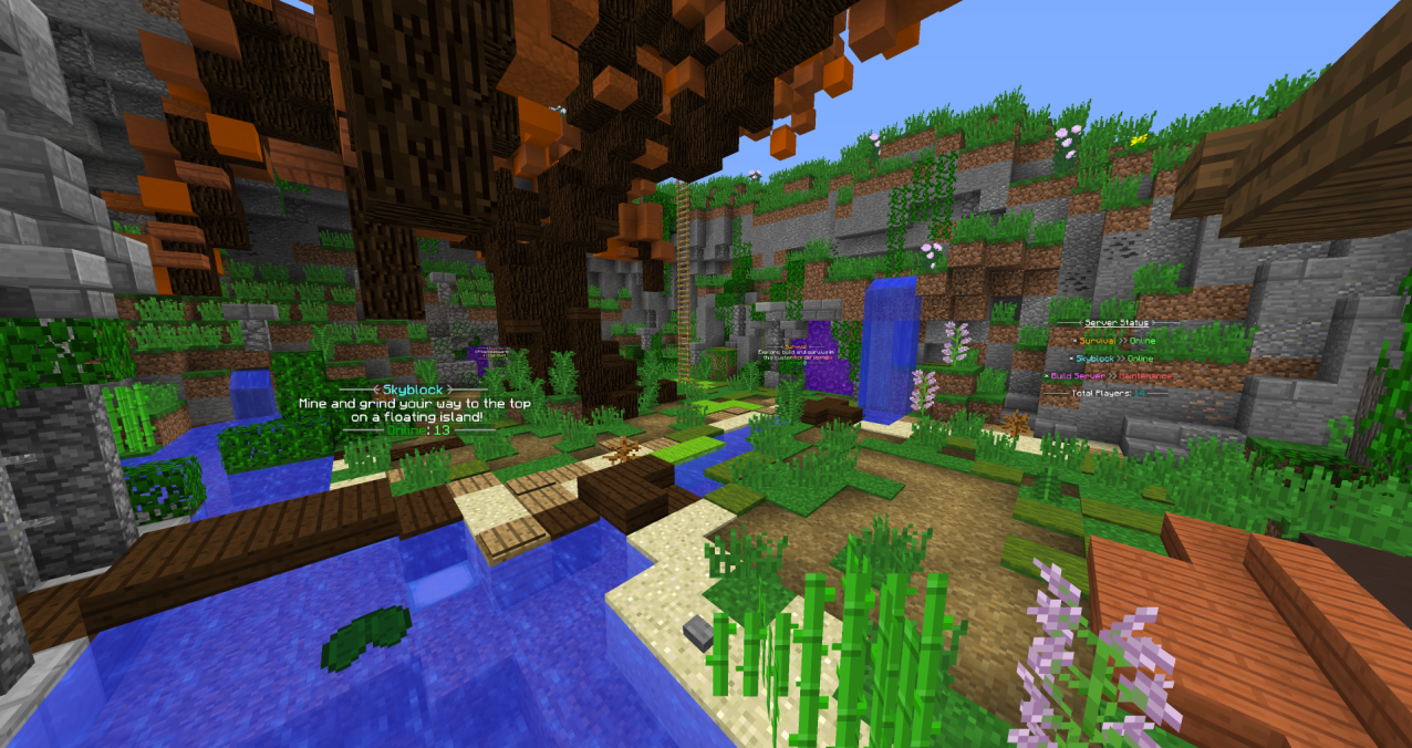 Server Hub ~ ♛ Crown Build Team ♛ ~ Minecraft Map