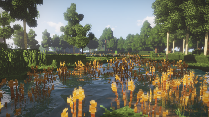 Creation Minecraft Map