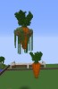 Carrot Minecraft Map