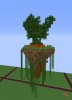 Carrot Minecraft Map